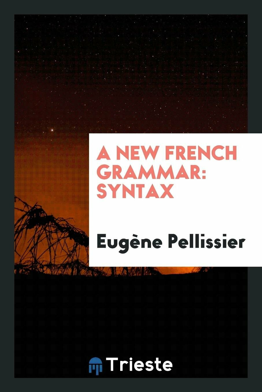 A new French grammar. Syntax