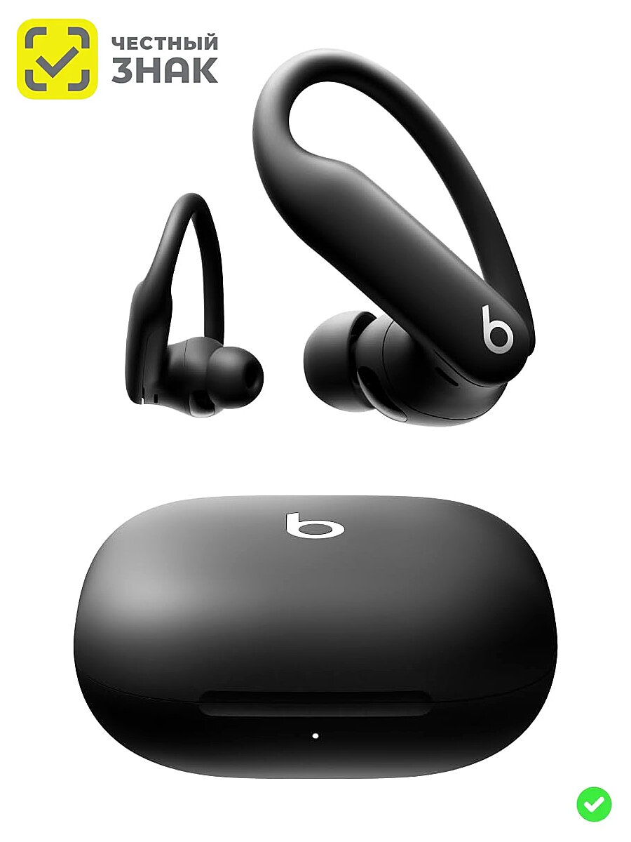 Beats by dr.dre Наушники беспроводные с микрофоном Beats Powerbeats Pro 2, Bluetooth, USB Type-C, черный матовый