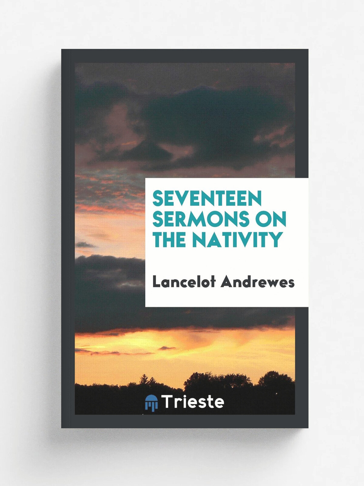 Seventeen sermons on the nativity