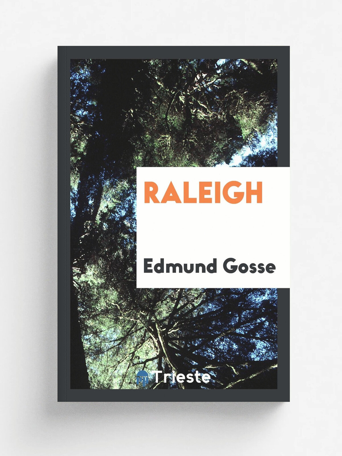 Raleigh