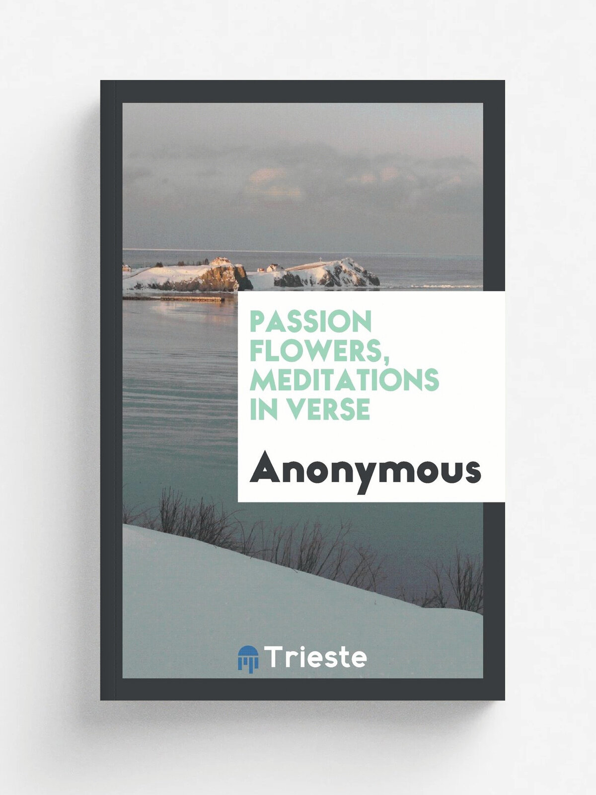Passion flowers, meditations in verse