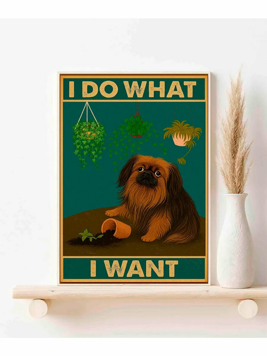 Собака породы пекинес, I Do What I Want, Плакат 30x42см