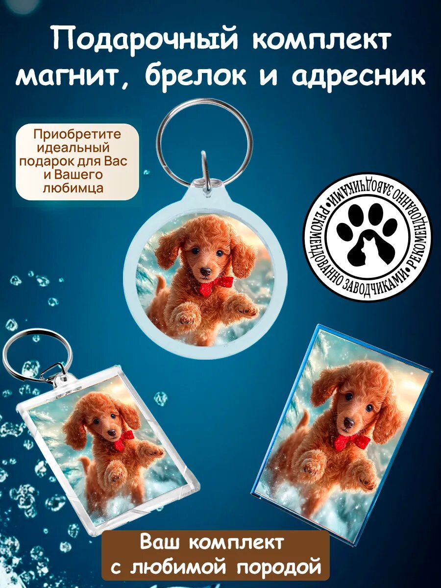Подарочный комплект магнит брелок адресник