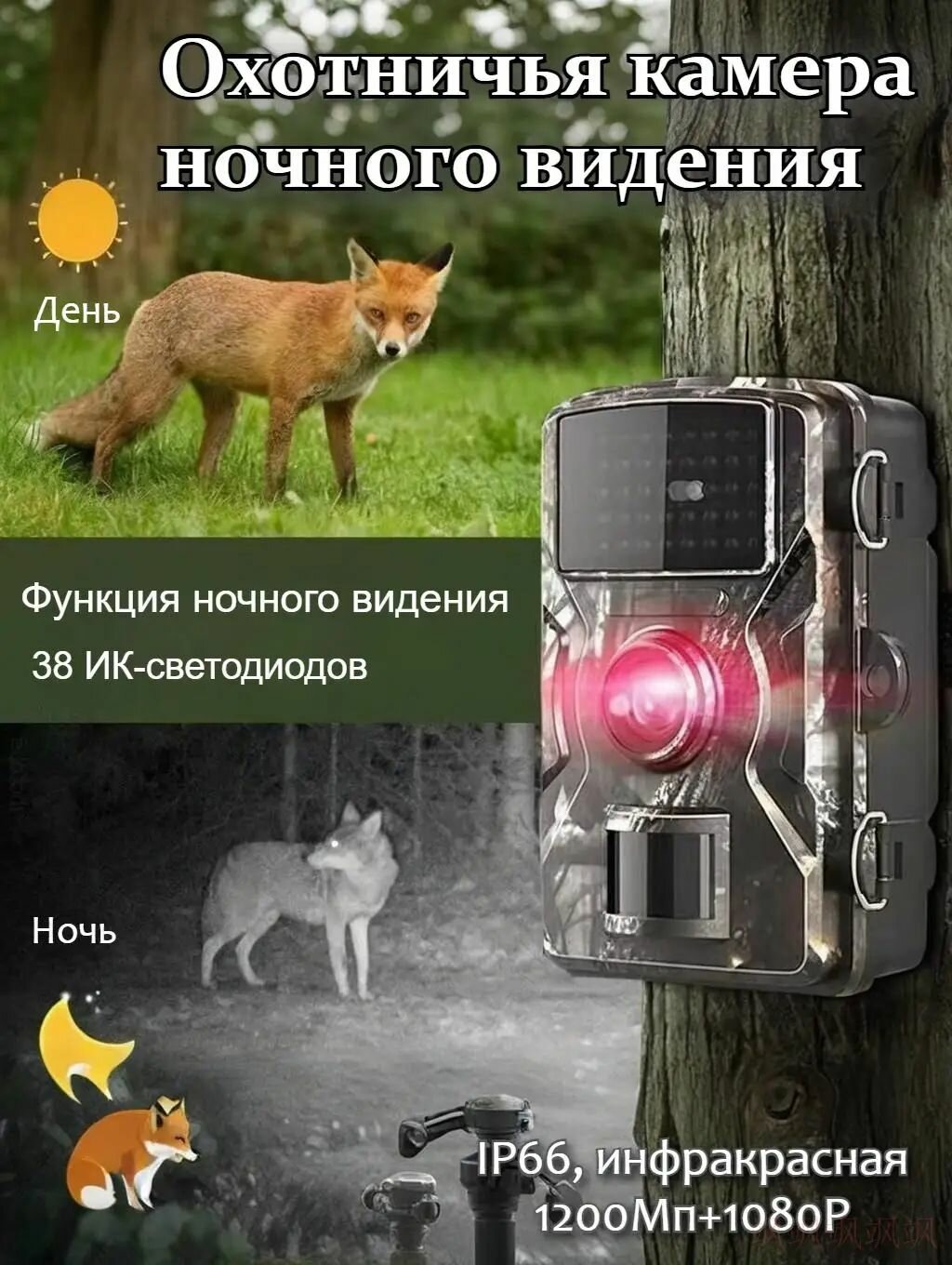 Фотоловушка — фото 1