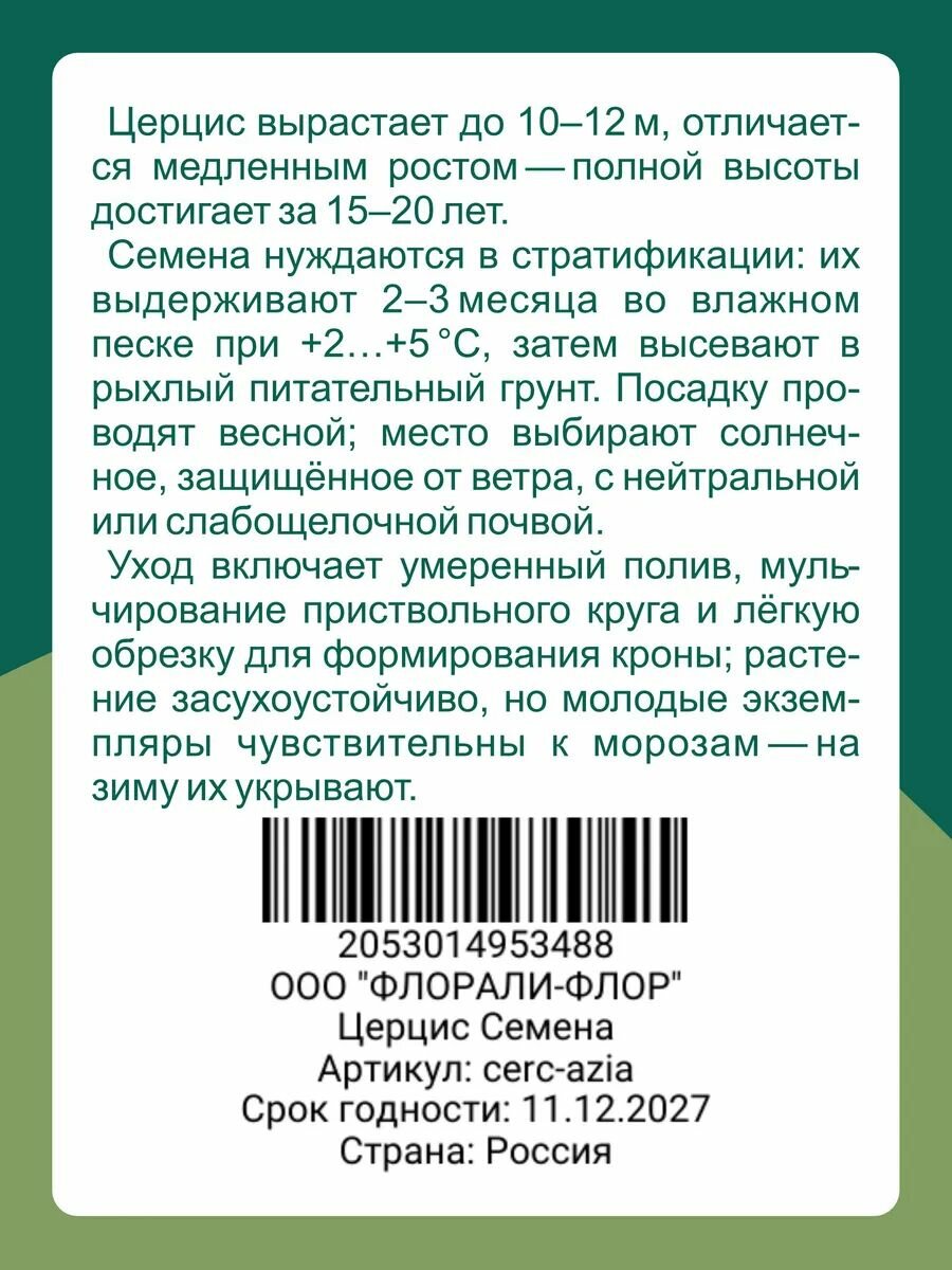 Церцис Семена — фото 1