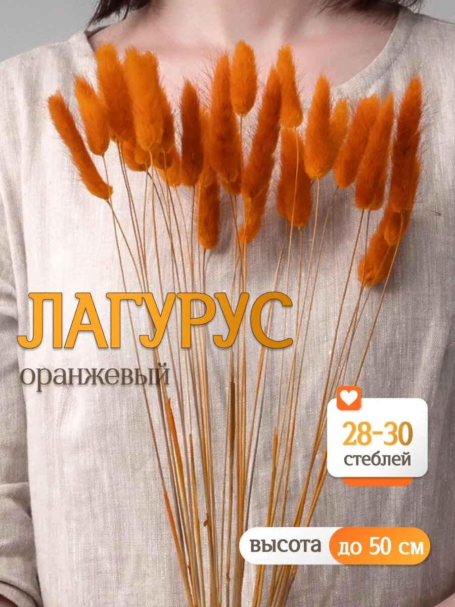 Лагурус оранжевый 30 шт, сухоцвет из лагуруса-зайцехвоста
