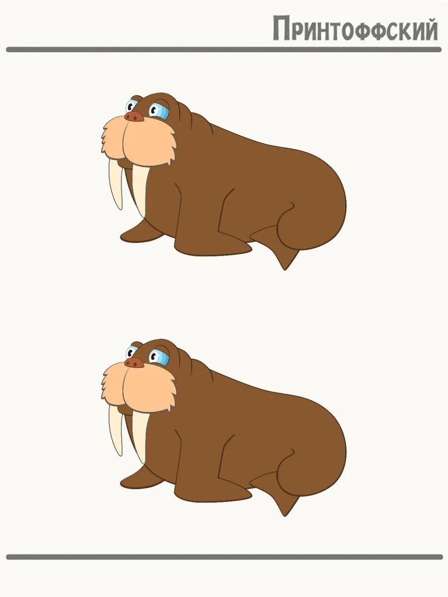 2-е (Две) Термонаклейки мультяшный морж cartoon walrus