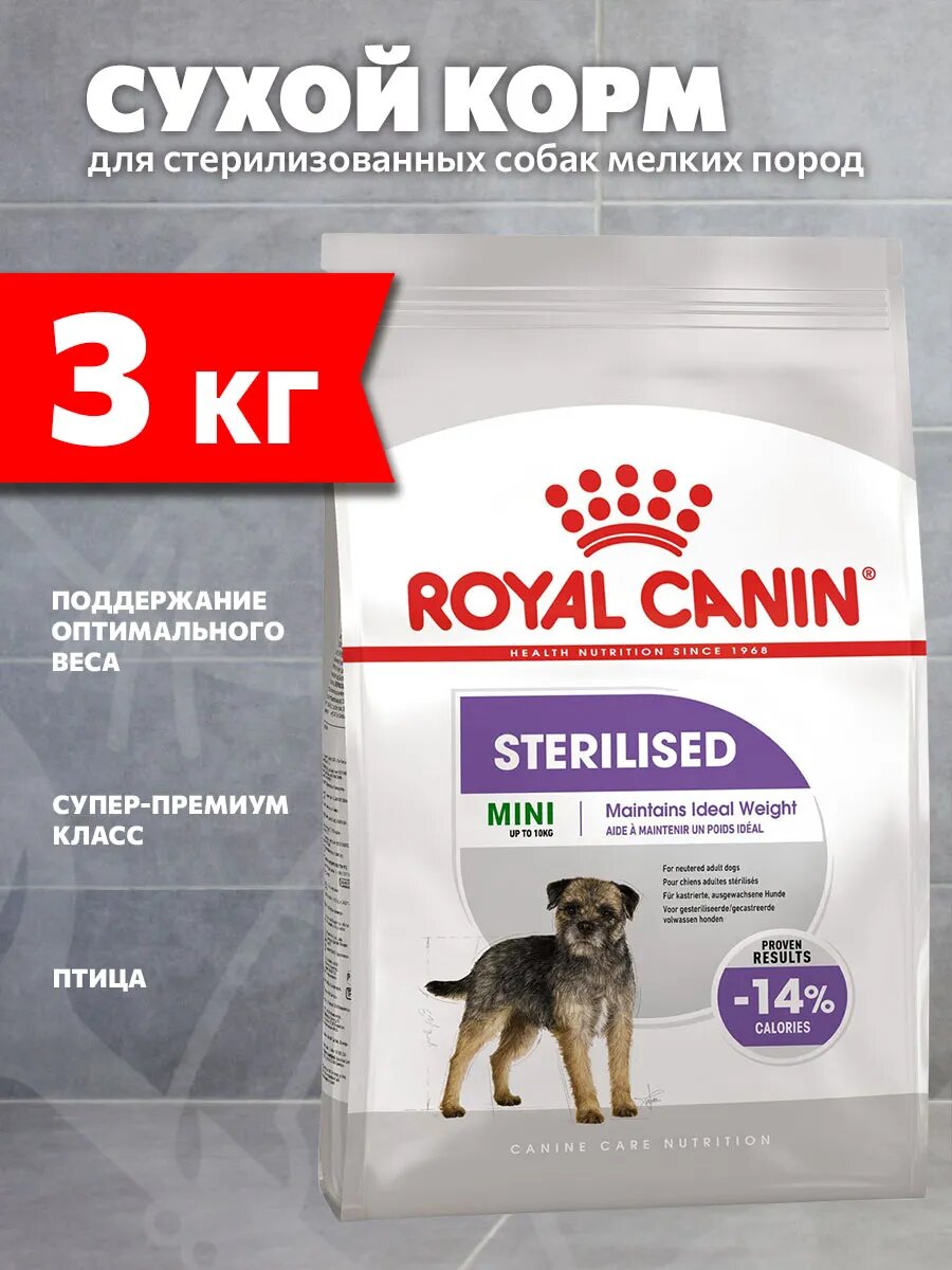 Корм сухой Royal Canin Mini Sterilised Adult для кастрированных и стерилизованных взрослых собак маленьких пород, 3 кг
