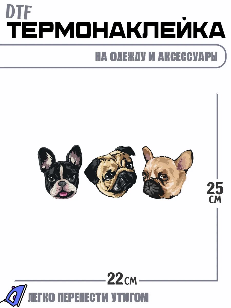Термонаклейка мопс собака