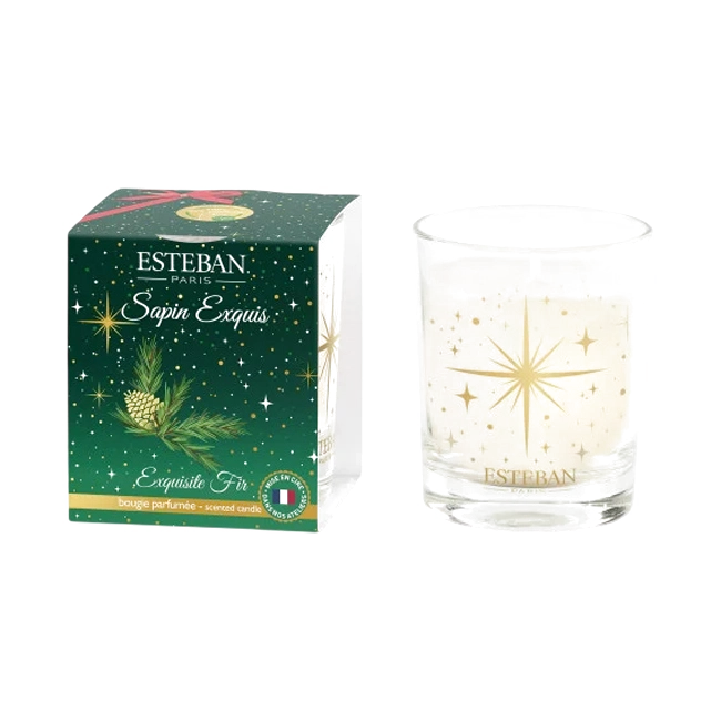 Ароматическая свеча Esteban Exquisite Fir Изысканная Пихта 70 гр / Эстебан Экскуизит Фир для дома