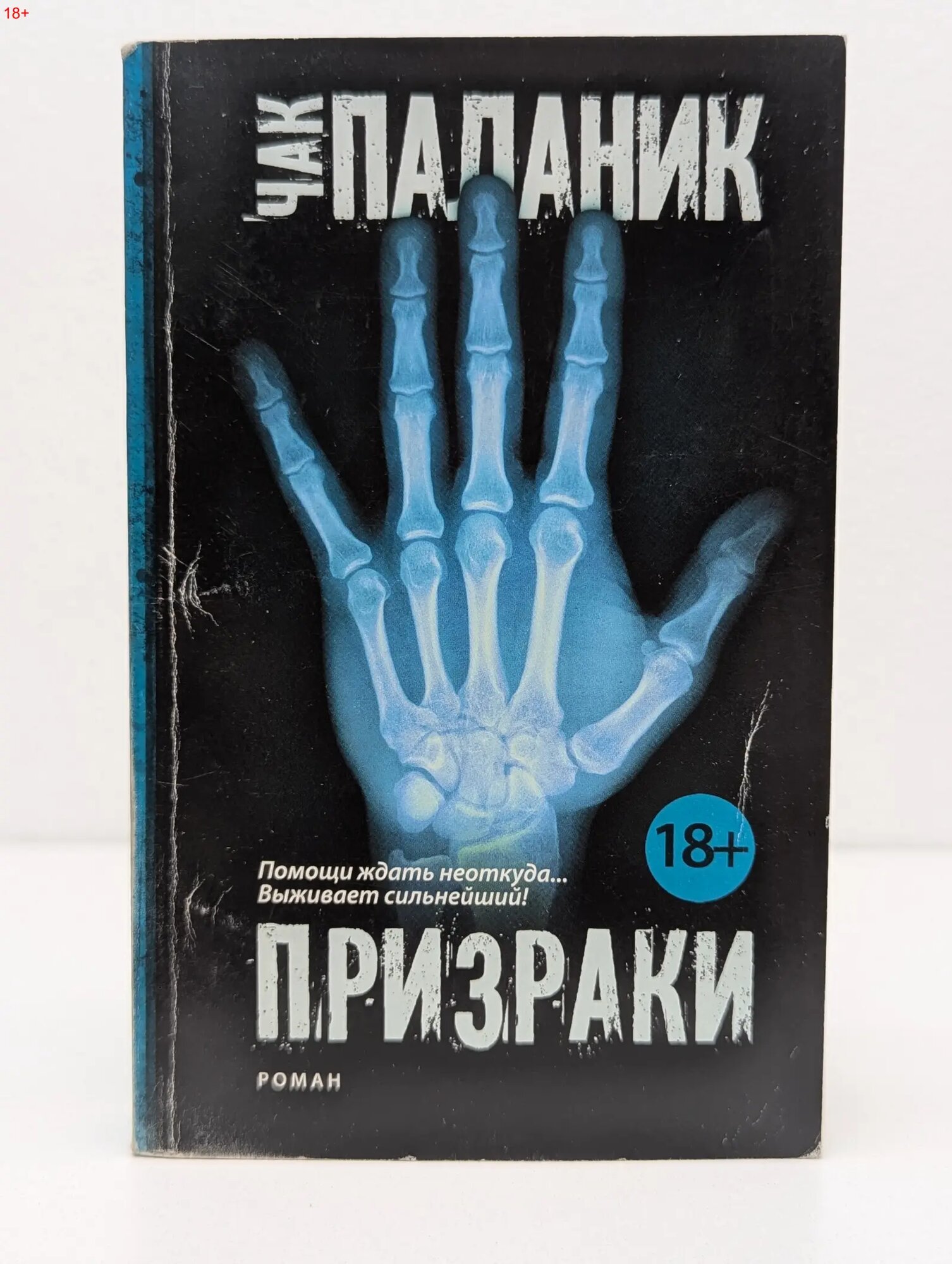 Чак Паланик и его бойцовский клуб. Призраки Паланик Чак 2015