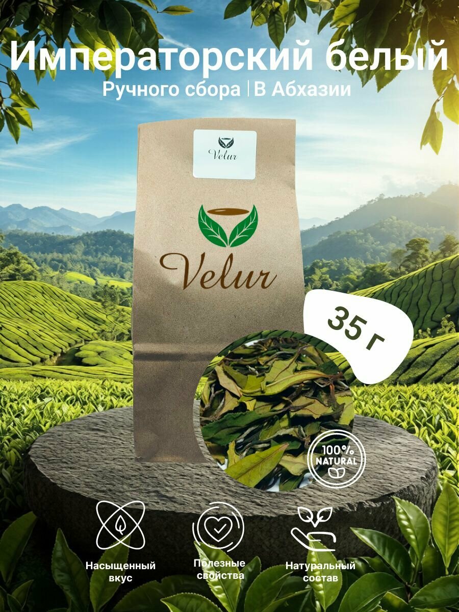 Листовой Императорский белый чай Velur - Золотая порция: 35г