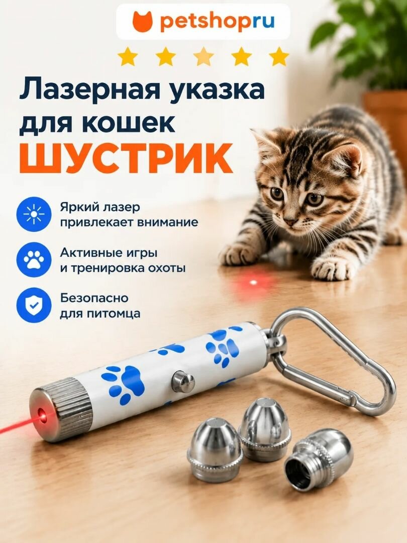 PETSHOP Лазерная указка для кошек "Шустрик"