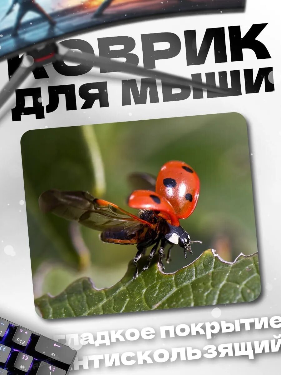 Коврик для мыши божья коровка летит