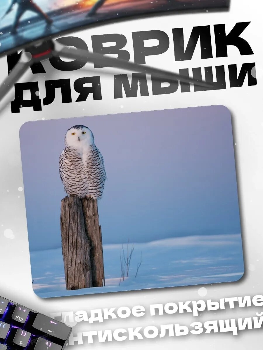 Коврик для мыши Белая сова на столбе