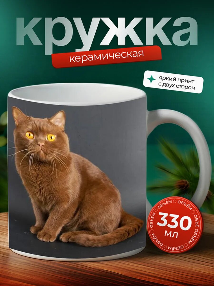 Кружка Дагестанский бархатный кот 23,