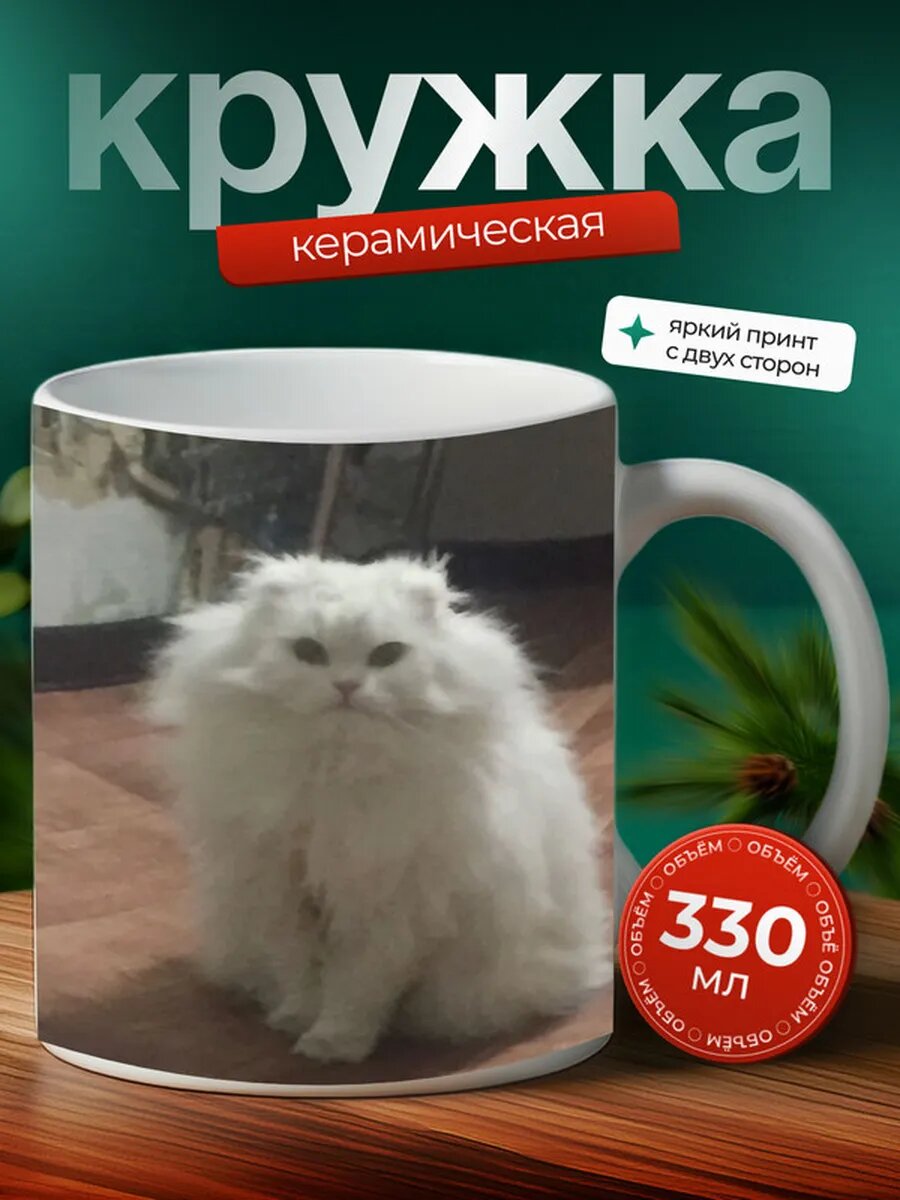 Кружка Белуджистанский пушистик кот 33,