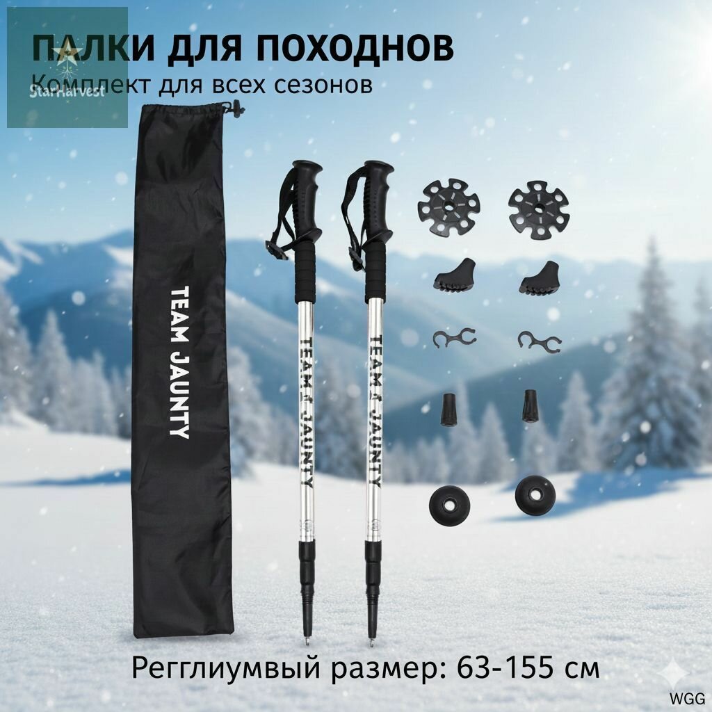 Лыжные палки