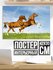 Плакат постер два коня