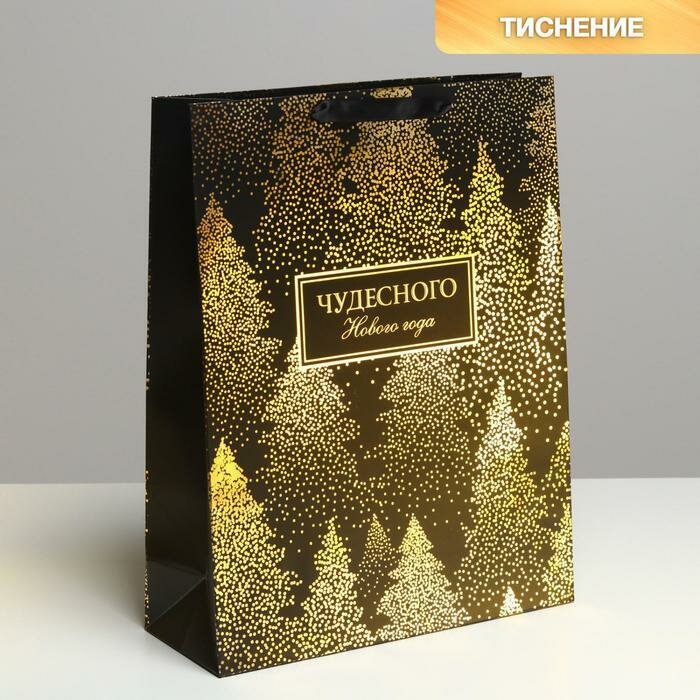 Пакет ламинированный вертикальный Чудесного Нового года , L 31 x 40 x 11,5 см