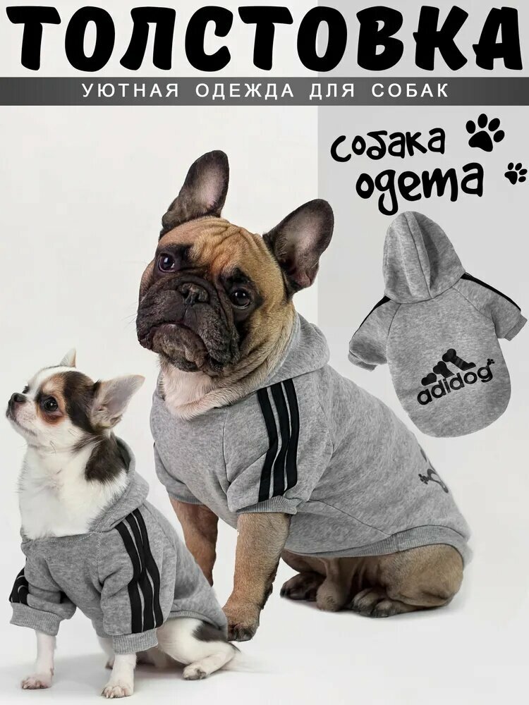 Одежда для животных