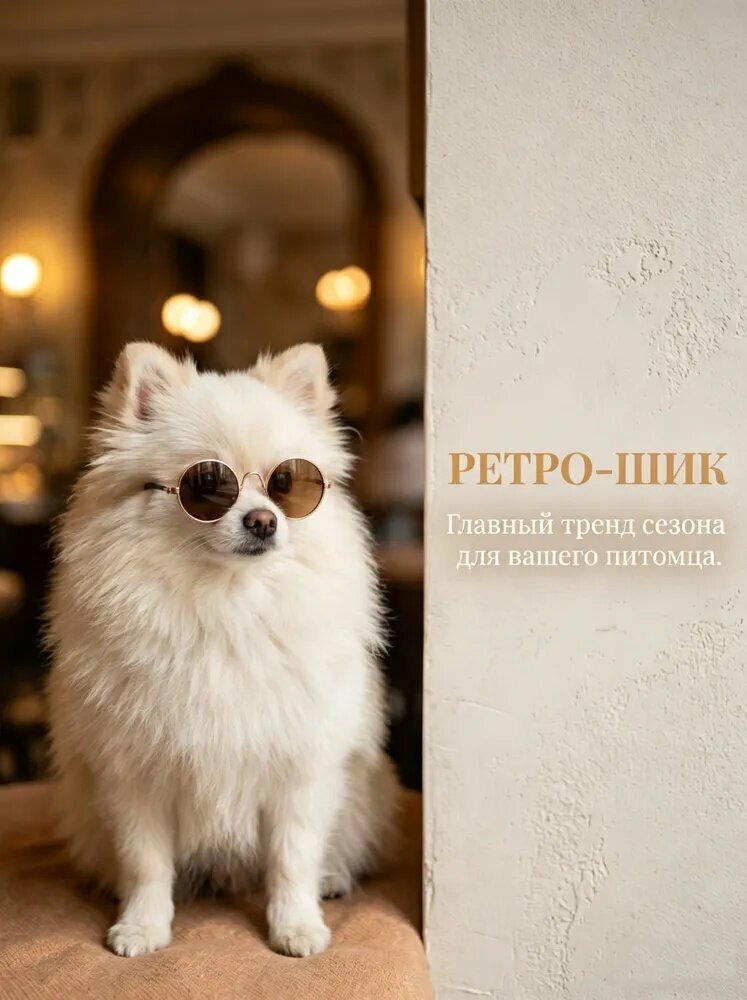 Очки для животных