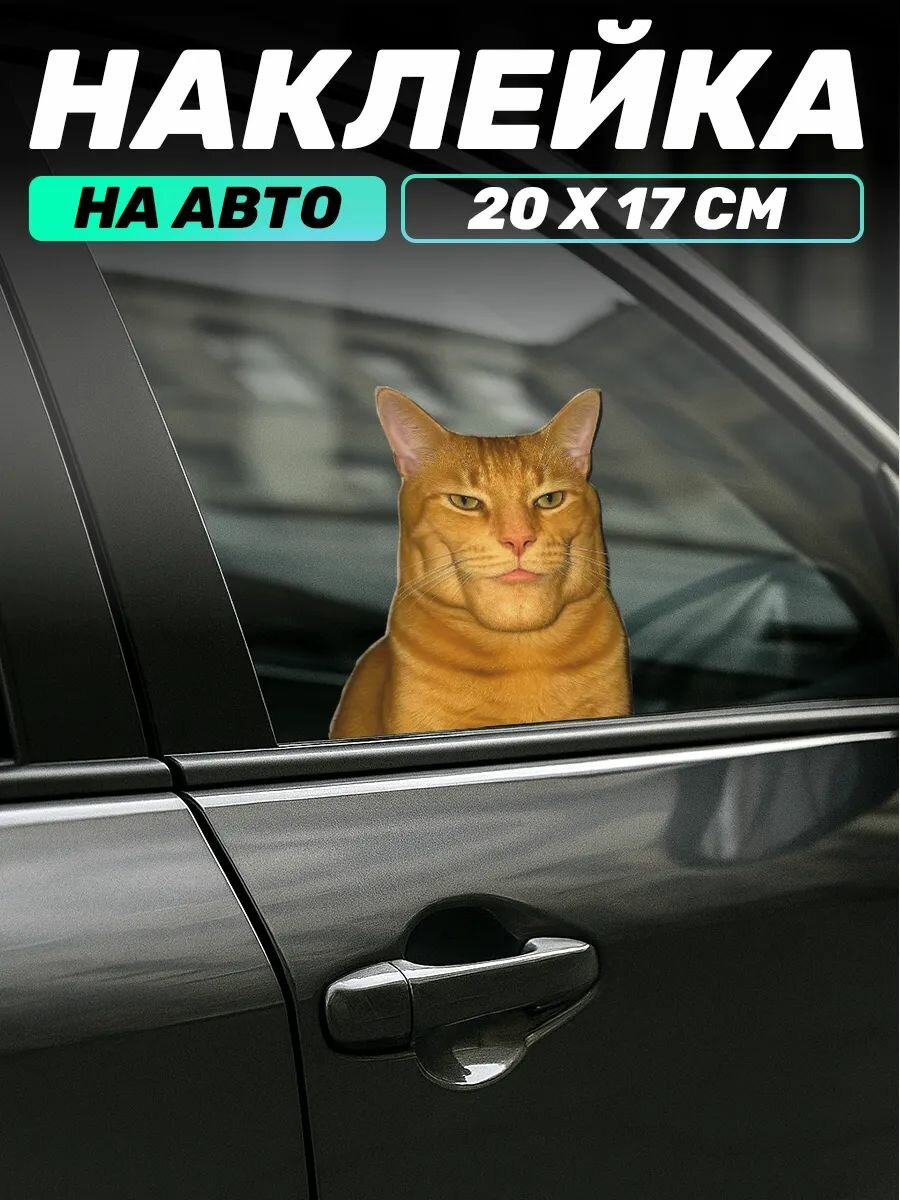 Наклейка на авто сигма кот