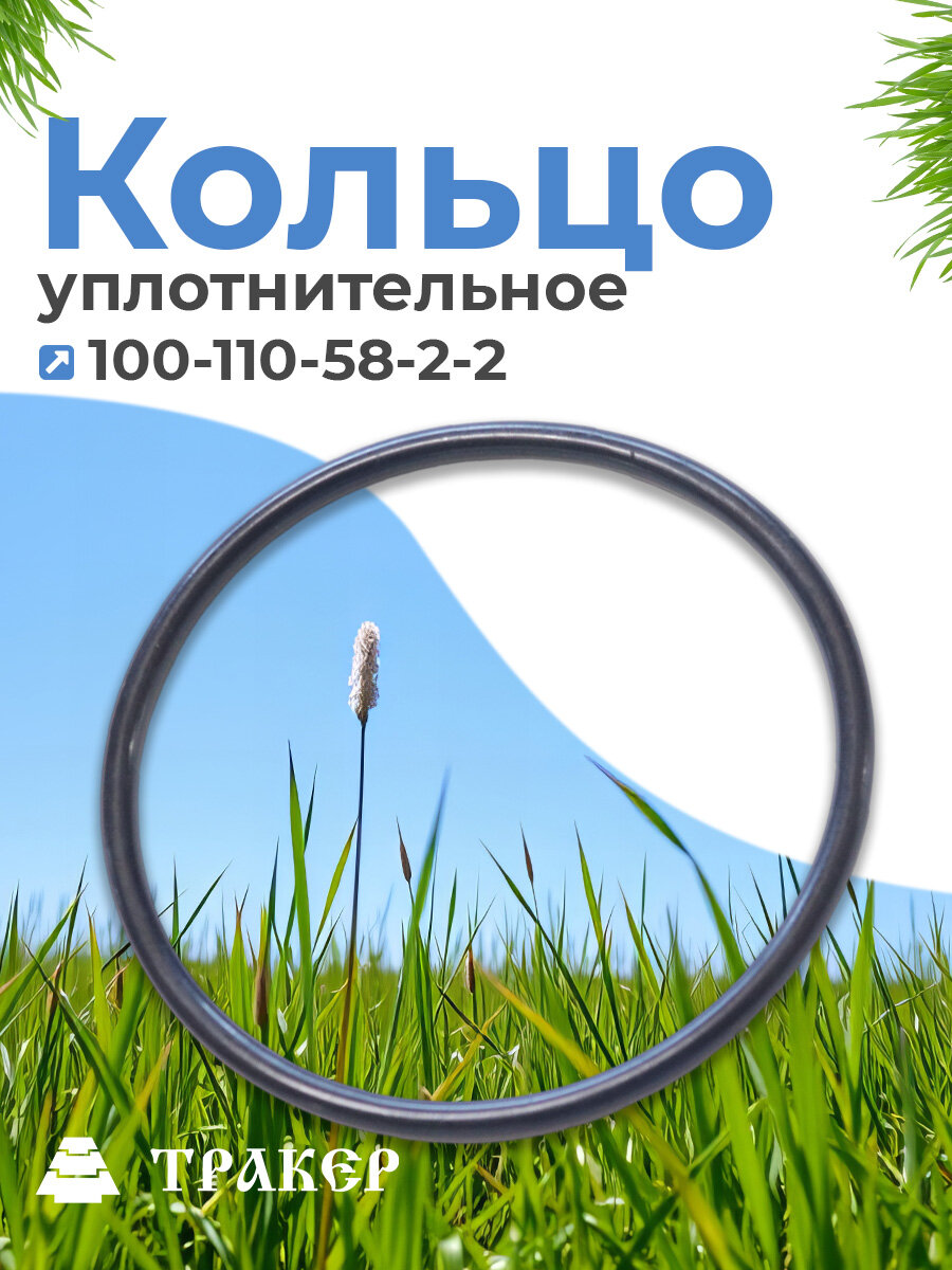 Кольцо уплотнительное 100-110-58-2-2 (бортовой передачи ТДТ-55)