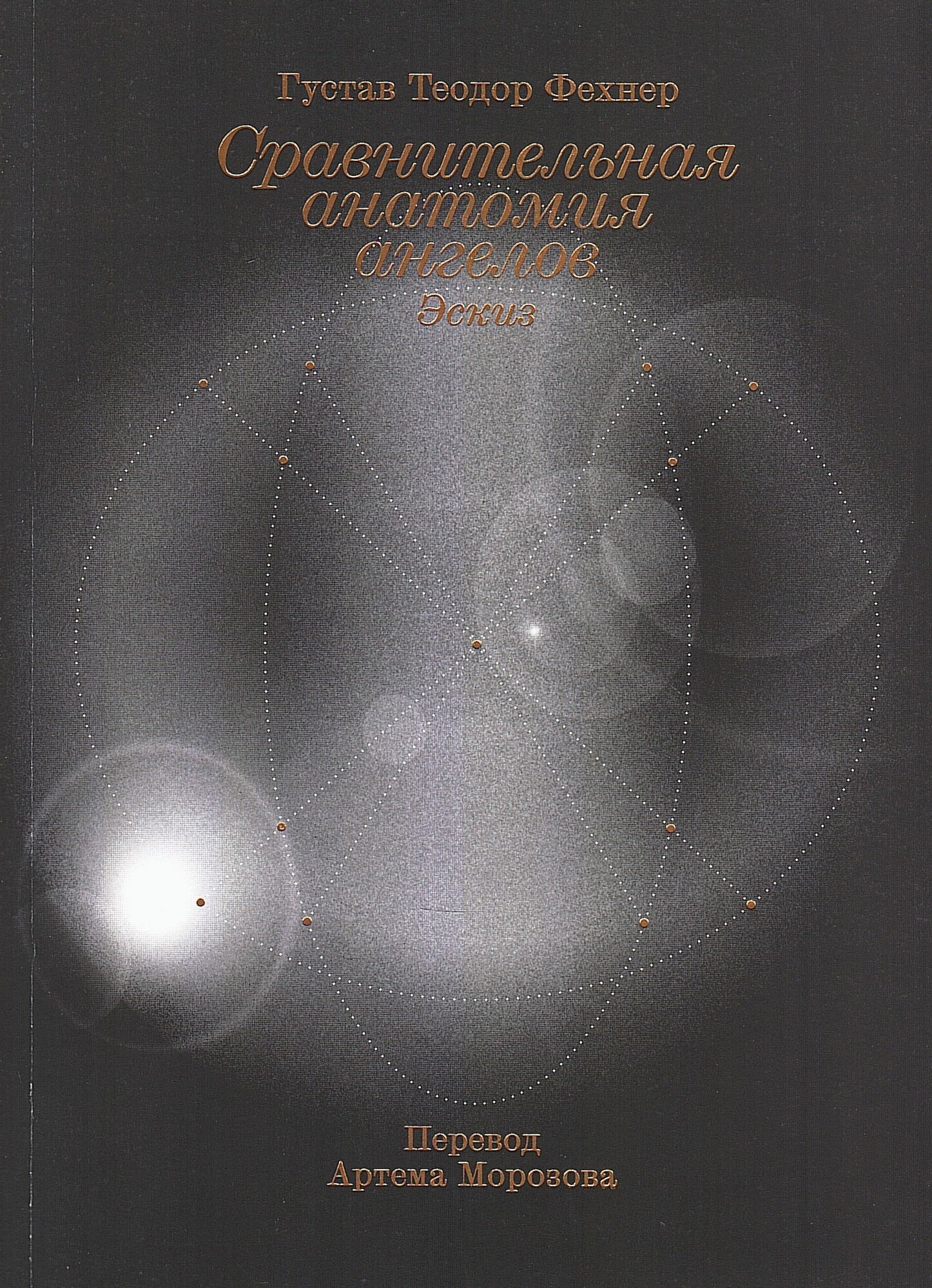 Сравнительная анатомия ангелов