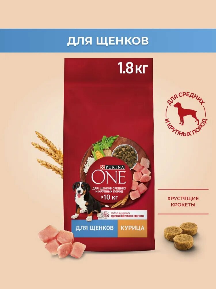 Сухой корм для щенков Purina ONE для средних и крупных пород, с курицей и рисом, 1,8 кг