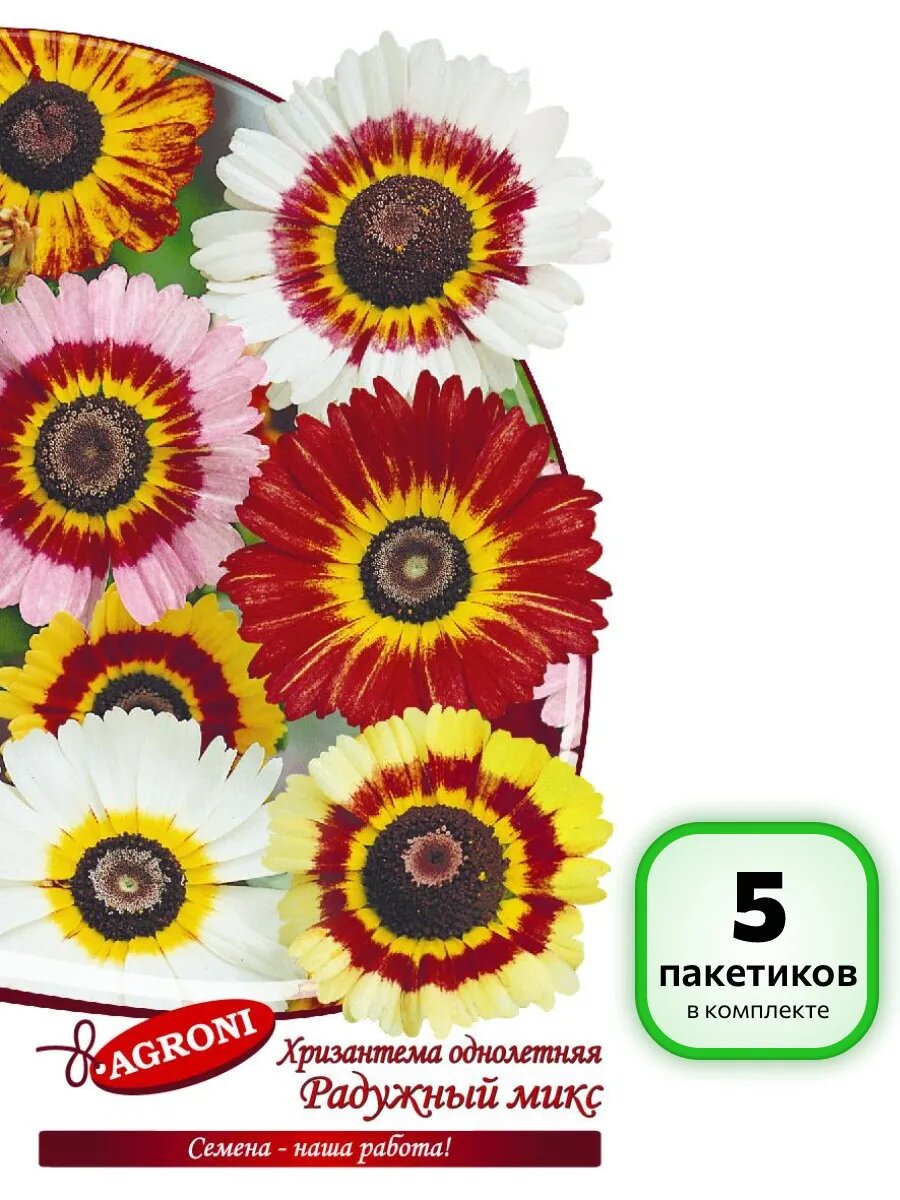 (5 шт.) - Семена Хризантема Радужный микс (0,3г)
