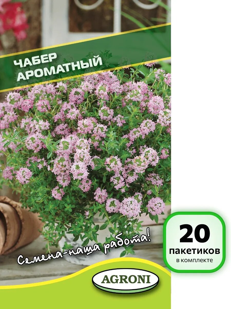 (20 шт.) - Семена Чабер Ароматный (0,5г)