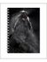 Тетрадь The Elder Scrolls V: Skyrim