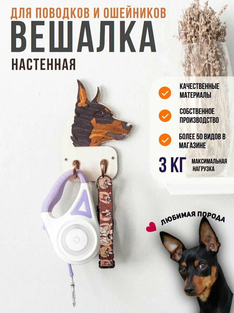 Вешалка для поводков, ключница настенная с собакой Пинчер, 2 крючка