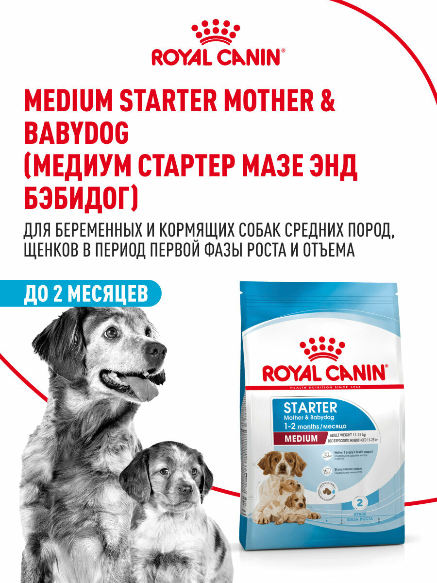 Сухой корм для щенков, беременных и кормящих собак Royal Canin Medium Starter Mother&Babydog для средних пород, 12 кг