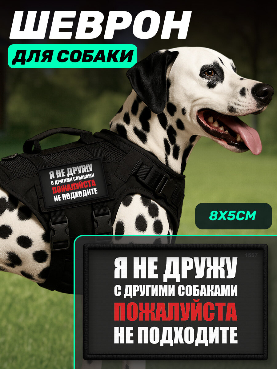 Шеврон на липучке для собак пожалуйста не подходите