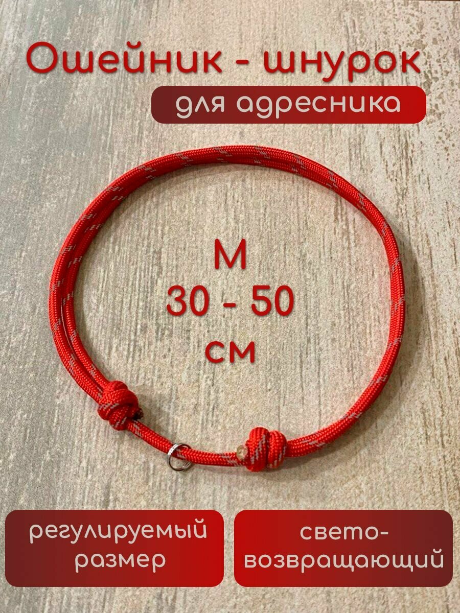 Шнурок - ошейник для адресника для собак и кошек красный световозвращающий