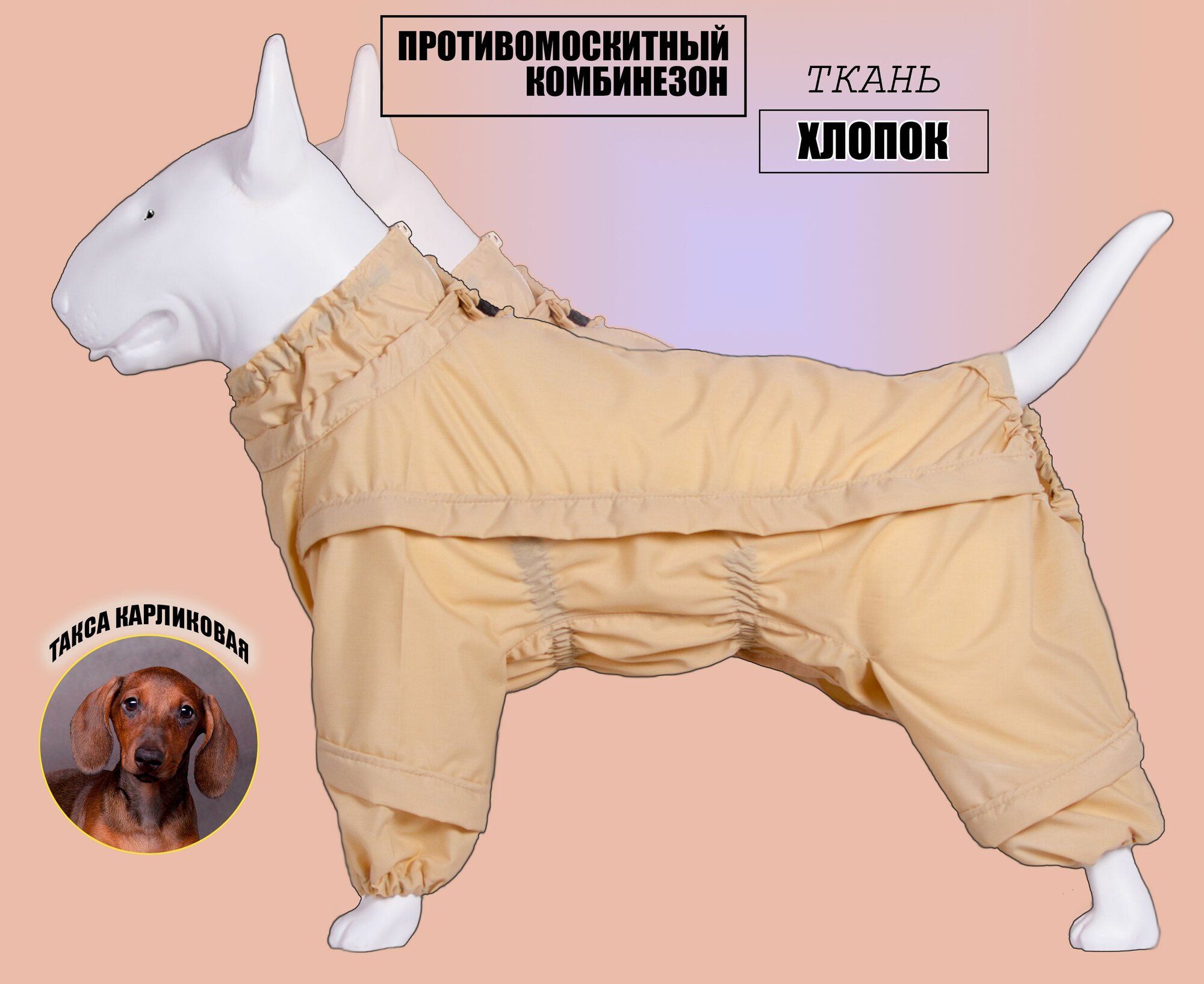 Комбинезон от клещей для таксы карликовой кобеля, цвет бежевый