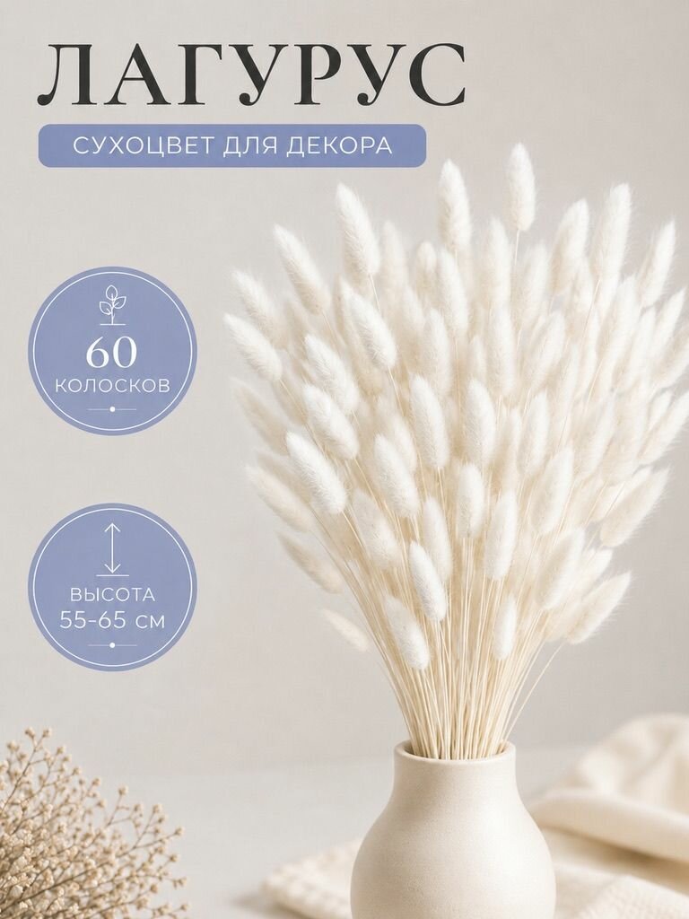 Лагурус сухоцвет для декора зайцехвост