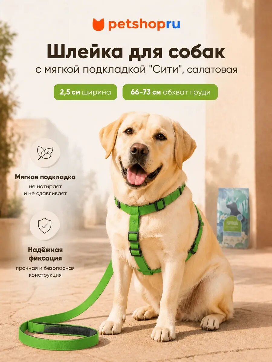 Yami Yami амуниция Шлейка Сити с мягкой подкладкой L салатовая 25мм, ОШ 65-70см, ОГ 66-73 см