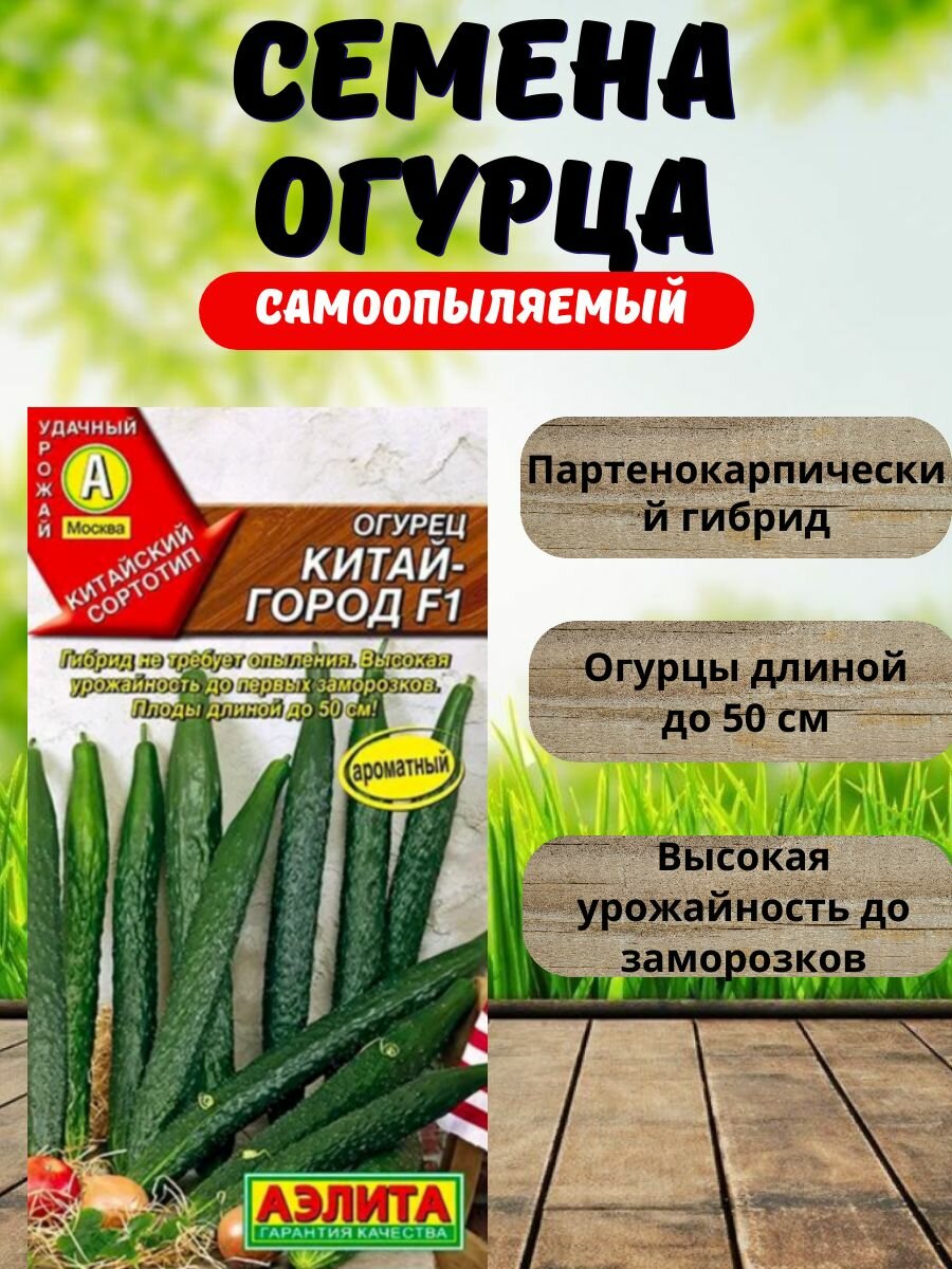 Семена огурцов - Китай город огурец семена китайский огурец