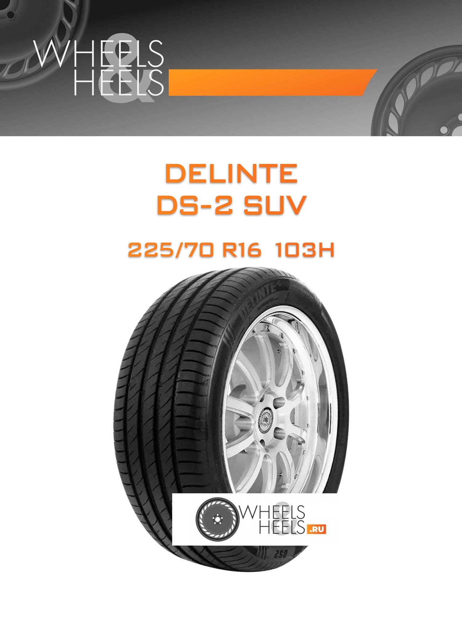 Шина автомобильная Delinte DS-2 SUV SUV 225/70 R16 103H SUMMER, летняя, универсальная