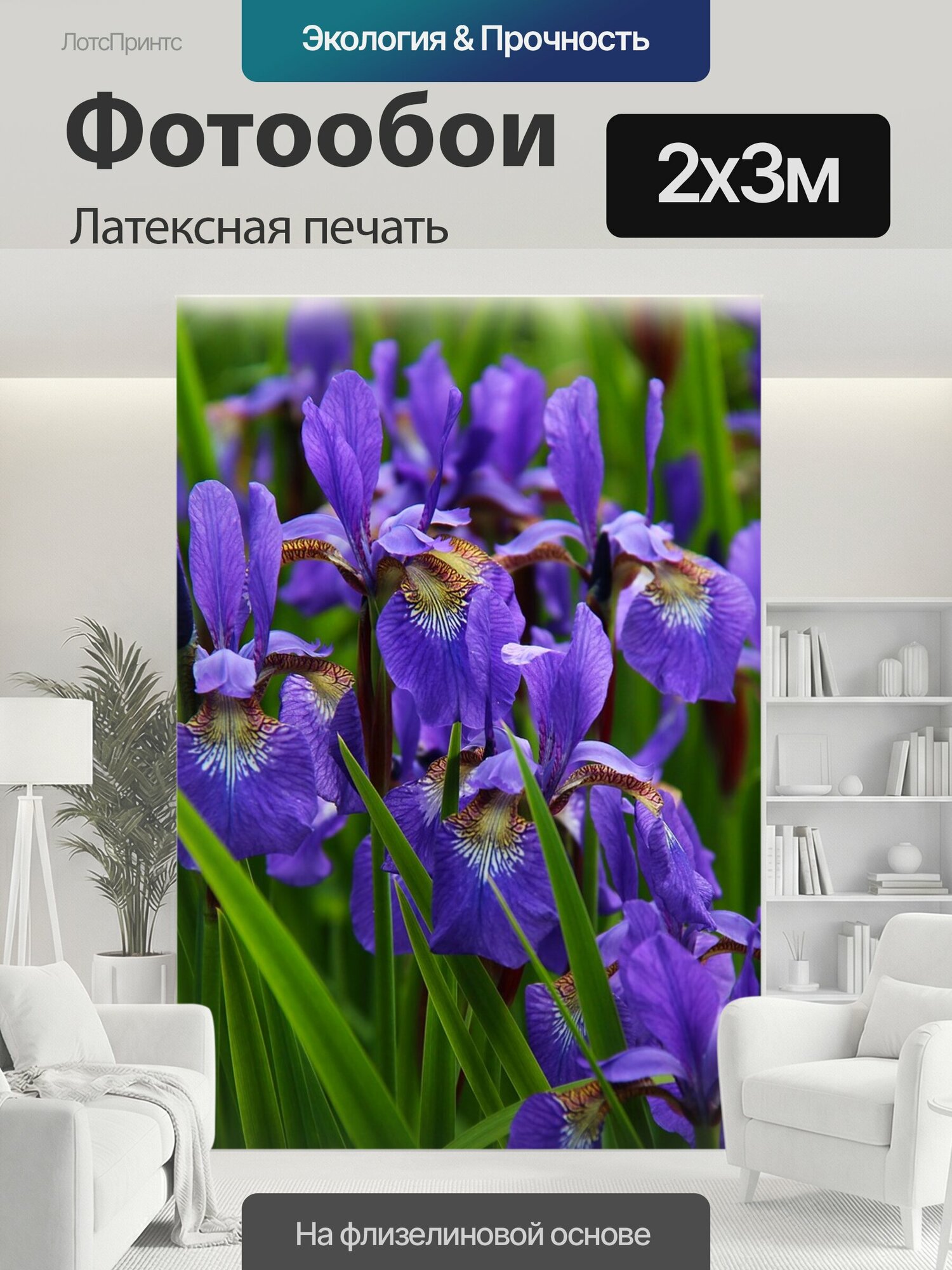Фотообои моющиеся ударопрочные "Ирис, цветок, цветочный" 200x300 см. латексная печать