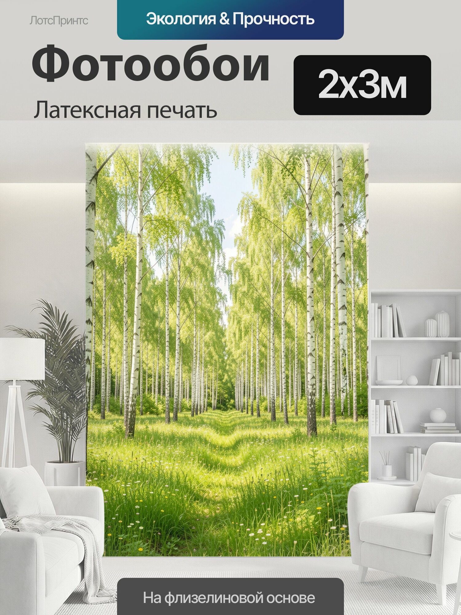 Фотообои моющиеся ударопрочные "Березовая роща в солнечный день. Светлый лесной пейзаж с высокими белоствольными деревьями, зеленой травой и." 200x300 см. латексная печать
