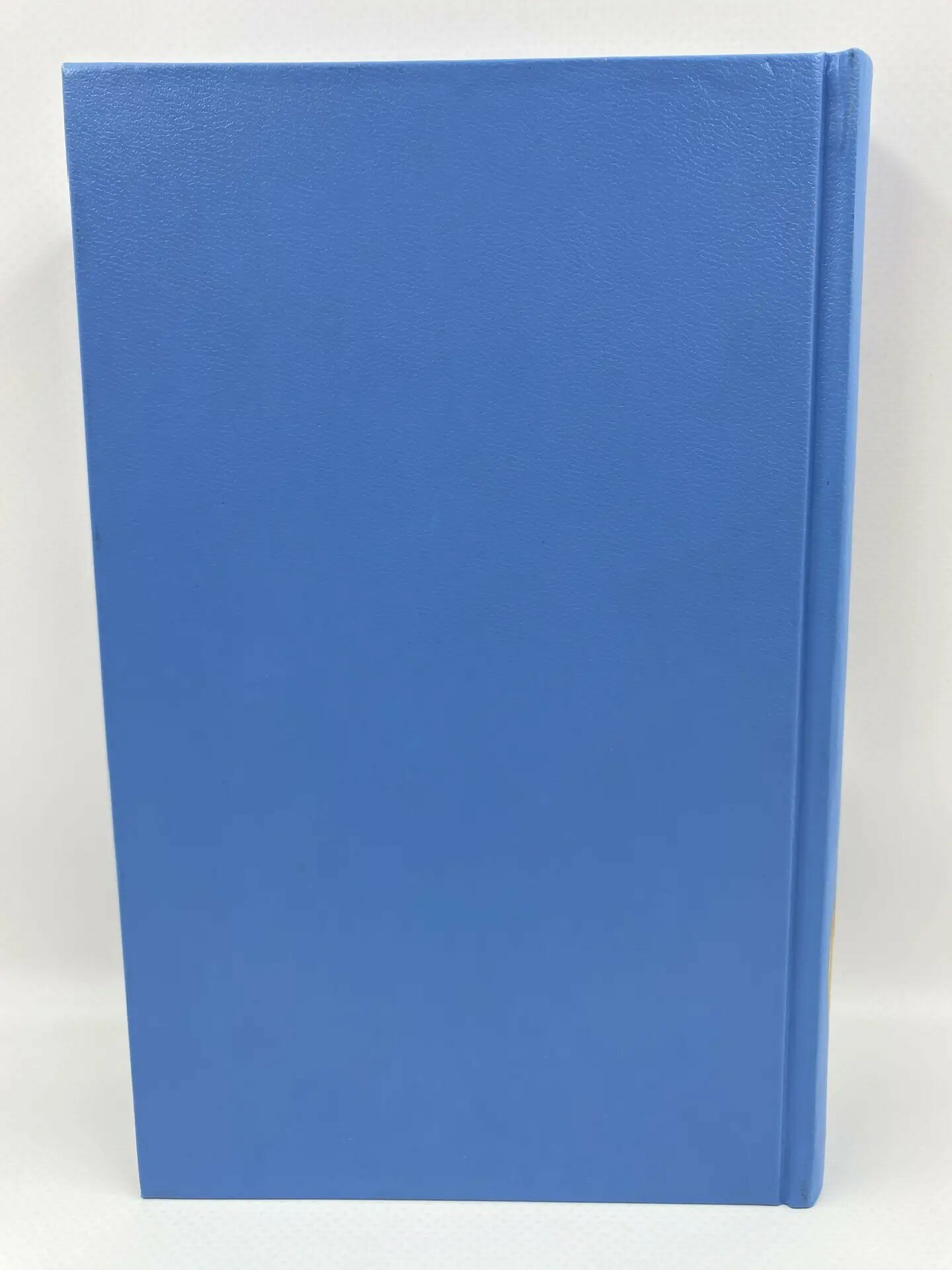 День новый. Книга 1 — фото 1