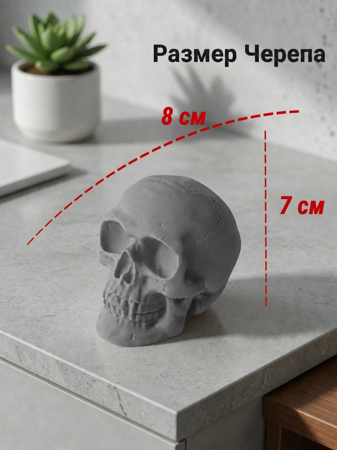 Череп Человека — фото 1