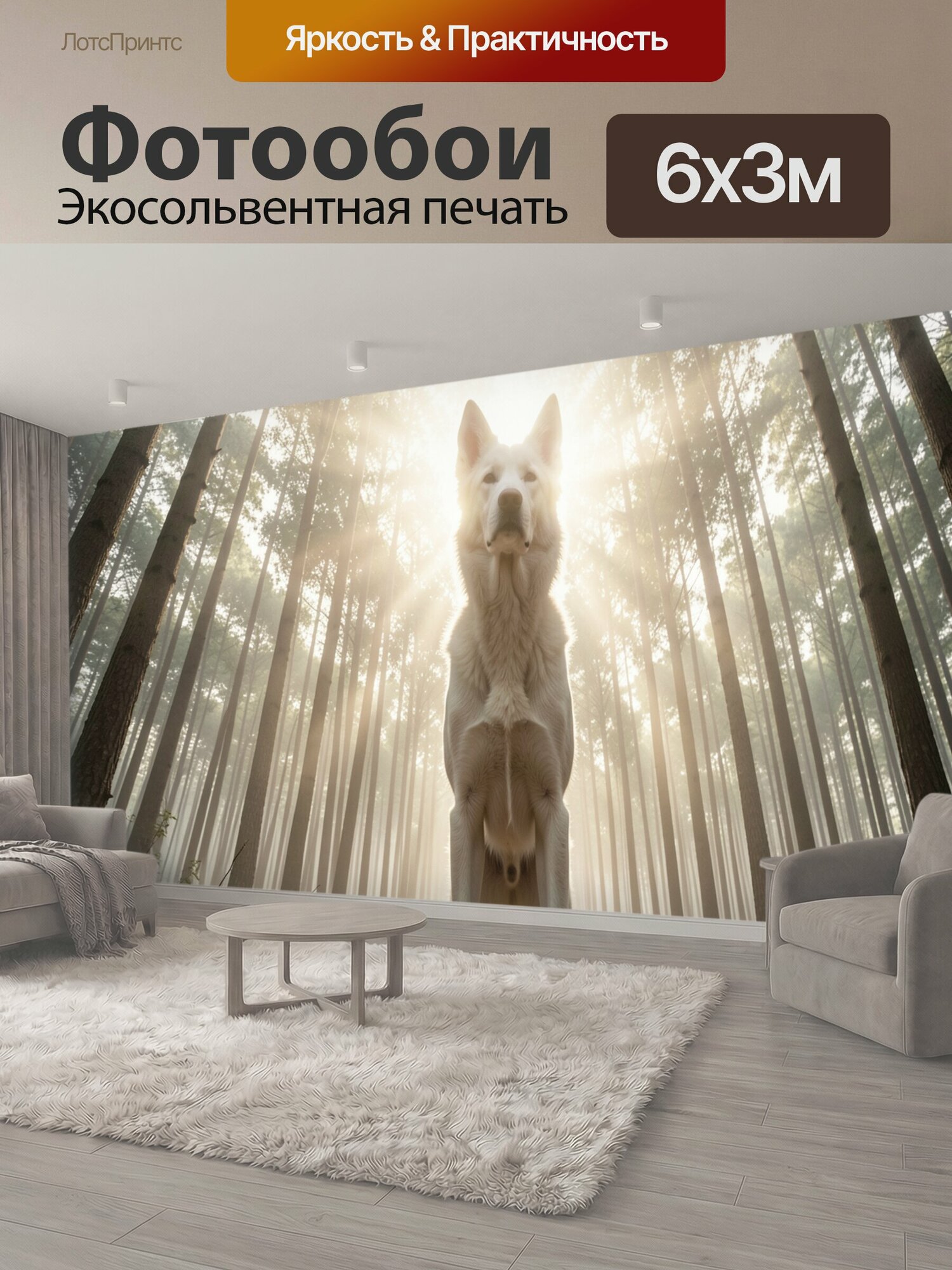 Фотообои "Белая собака в лесу. Светлый пёс стоит на лесной тропе среди высоких сосен, сквозь деревья пробиваются солнечные лучи и утренний." 600x300 см. экосольвентная печать