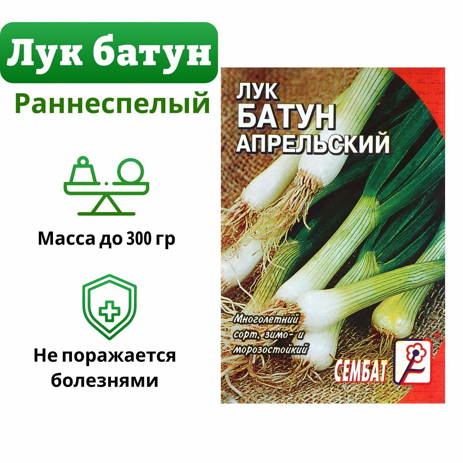 Семена Лук батун "Апрельский", 1 г, посев (посадка) в грунт: апрель, 4 шт.