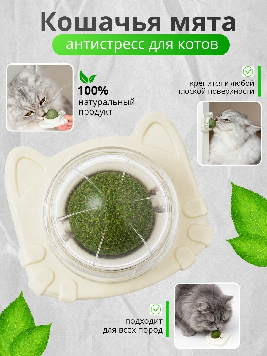 Кошачья мята, антистресс, игрушка для кота кошачья мята игрушка антистресс для кота