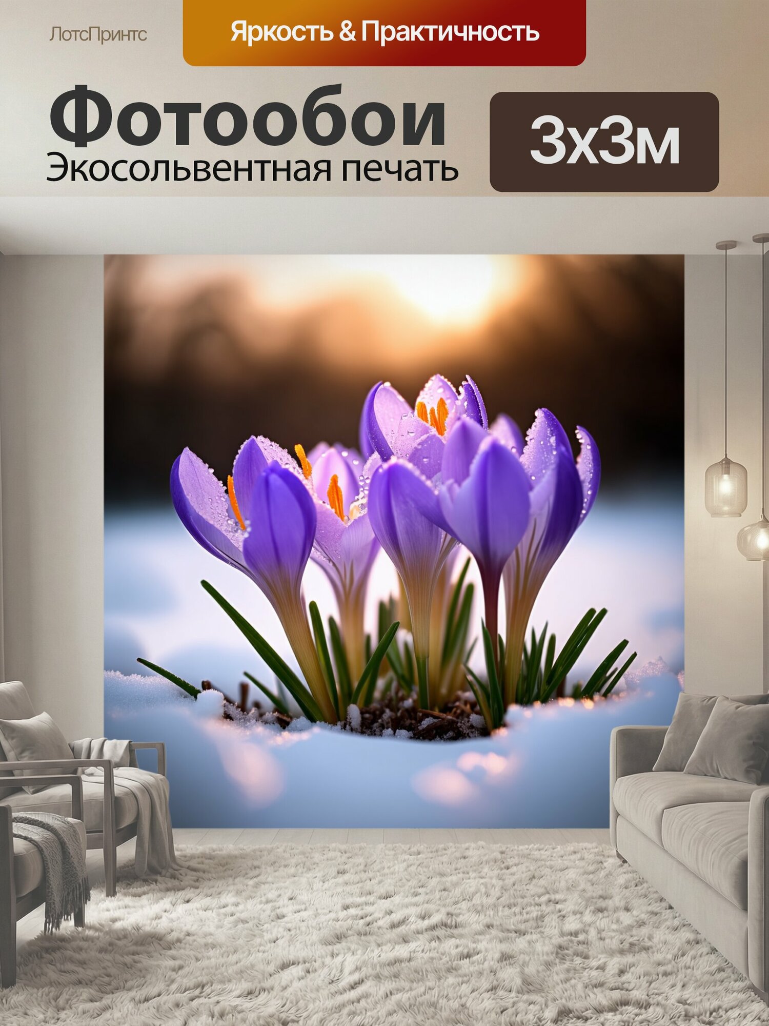 Фотообои "Весенние цветы крокуса, растущие на фоне снежного покрова, нежные пурпурные лепестки с яркими оранжевыми тычинками, капли воды и." 300x300 см. экосольвентная печать